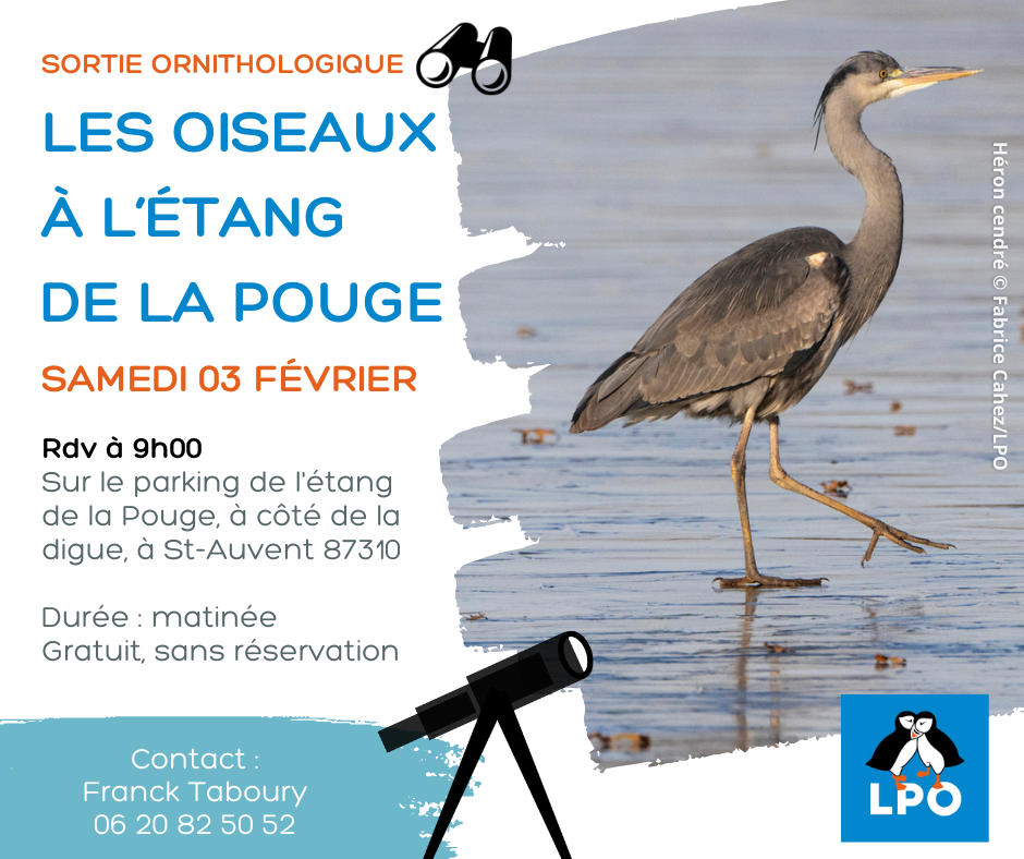 Les oiseaux de l’étang de la Pouge - Ligue pour la protection des ...